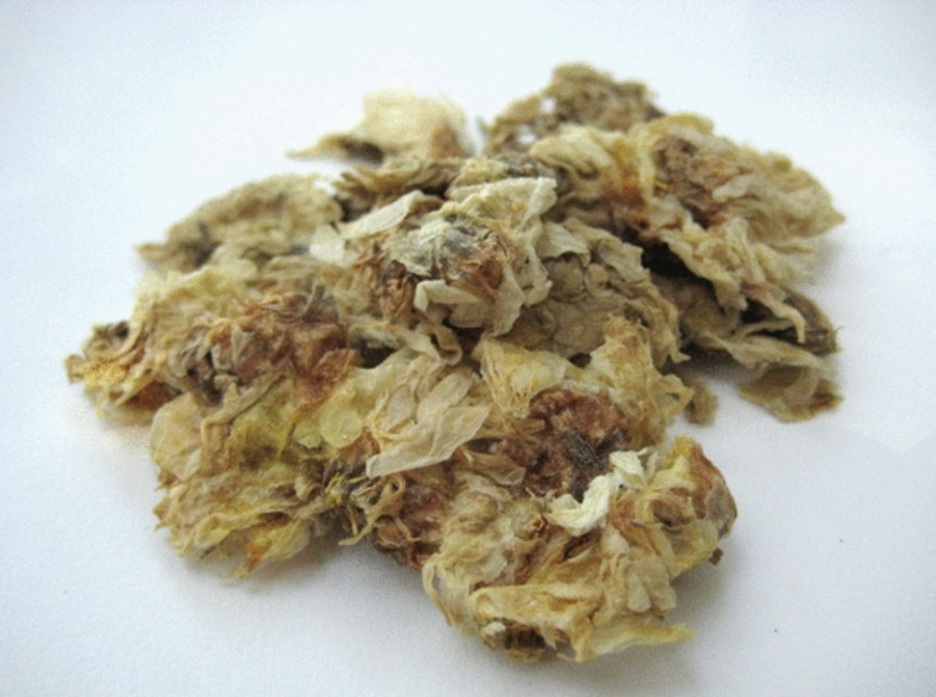 ju-hua-dr-debbie-lee-dr-tcm-acupuncturist-herbalist